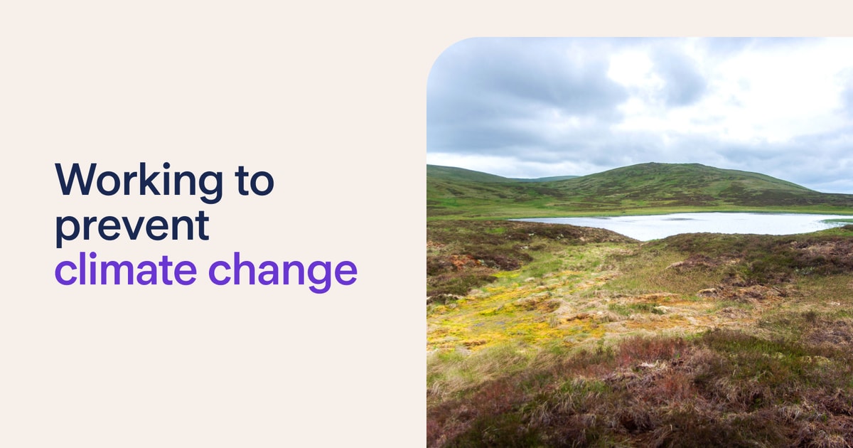 Projects we support to offset carbon emissions | Starling