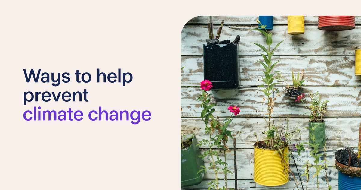 10 ways to prevent climate change - Starling Bank